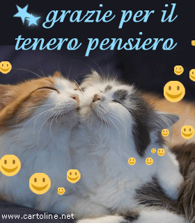 Grazie Gatto Gif
