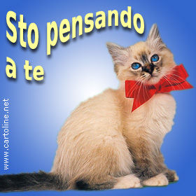 Sto pensando a te